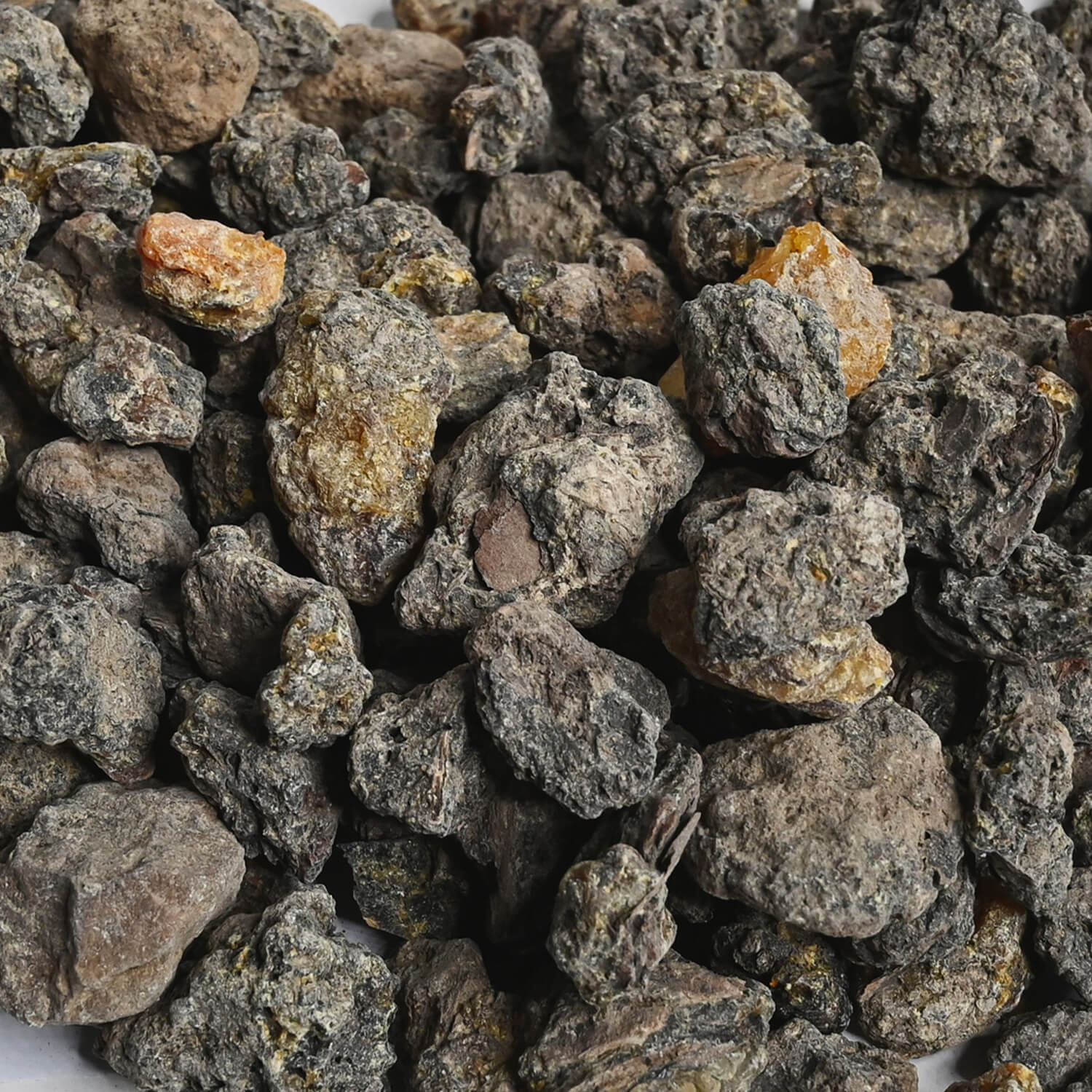 Black Copal Intenso (Protium Grandifolium) Ceremonial Incense Resin Gu ...