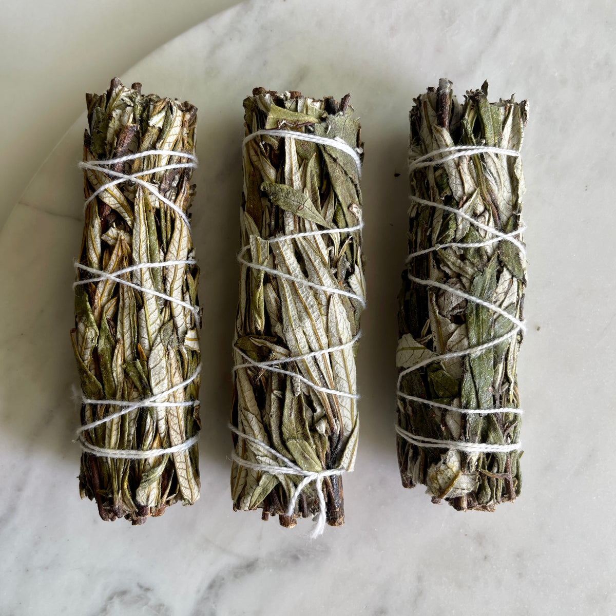 Yerba Santa (Eriodictyon Californicum) Smudge Stick Guide